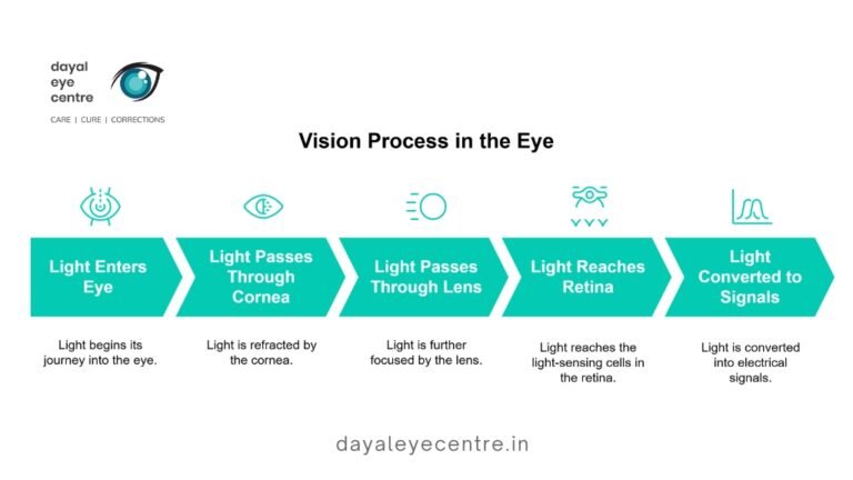 Retina of the Eye: Anatomy, Function & Common Disorders
